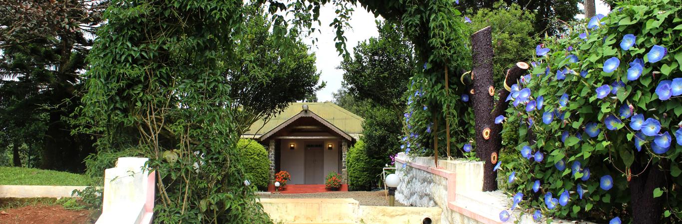 Homestay Bungalow | Homestays in Kerala | Kerala Homestay